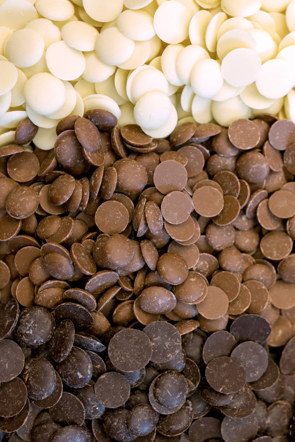 Chocolate Discs - Roasted & Raw